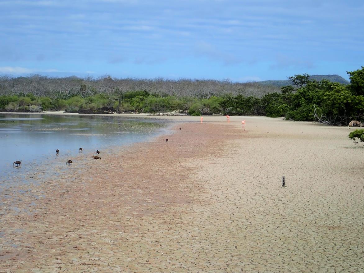 2019-06-07 Bartholomew Island to Devil’s Crown & Cormorant Point & the ...