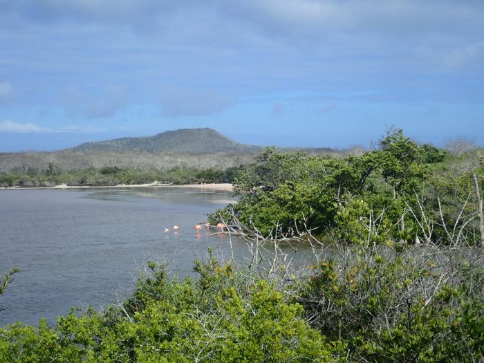 2019-06-07 Bartholomew Island to Devil’s Crown & Cormorant Point & the ...